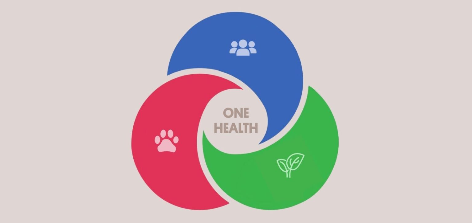One Health - Diccionario de Salud Global